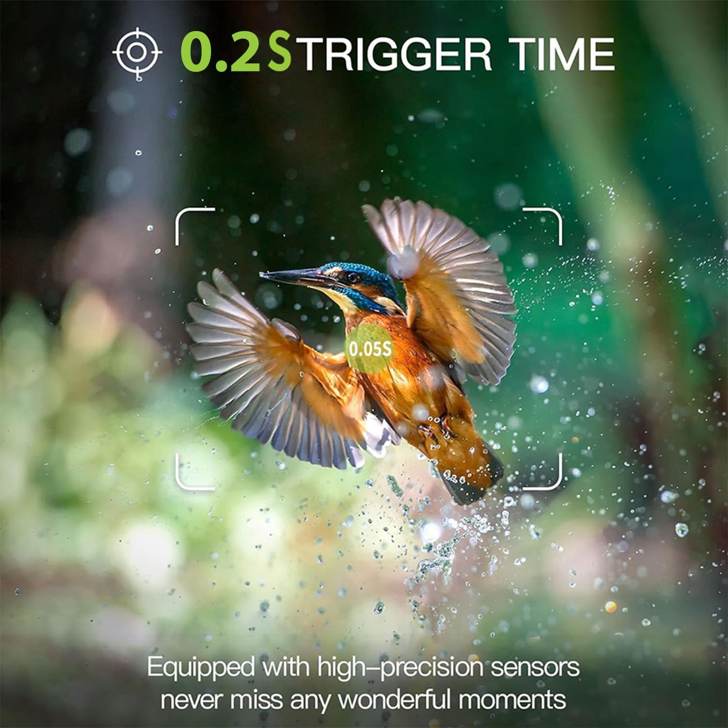 Trail Cameras - Night Vision, Motion Activated, Waterproof for Outdoor ...